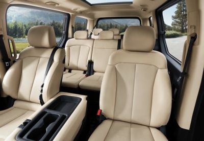 Spannende Hyundai 9 Sitzer Ebenbild